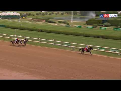 A new superstar? ENGLISHMAN rules in Saratoga's Grade 1 Woody Stephens