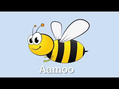 Insects in Ojibwe - YouTube