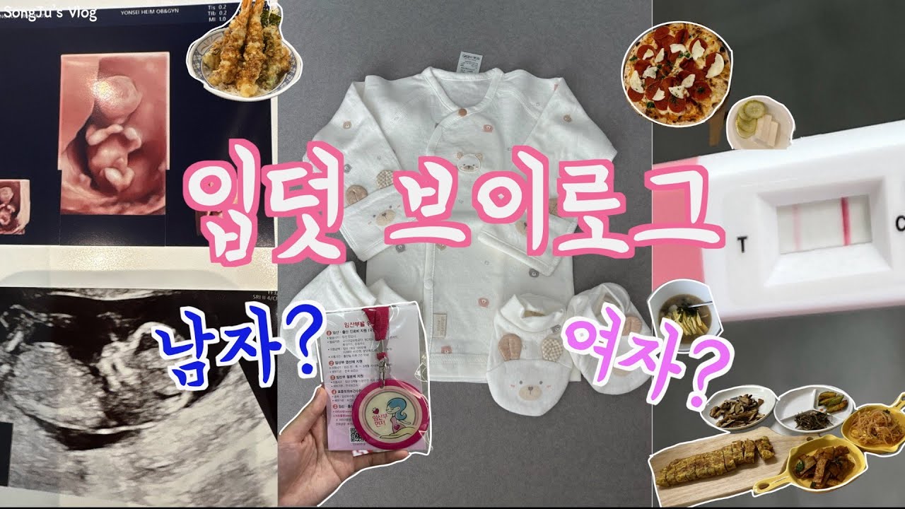 Vlog 임밍아웃입덧 브이로그 성별을 곁들인 임신 확인 4주 14주차성별공개보건소 방문 임신초기 Youtube