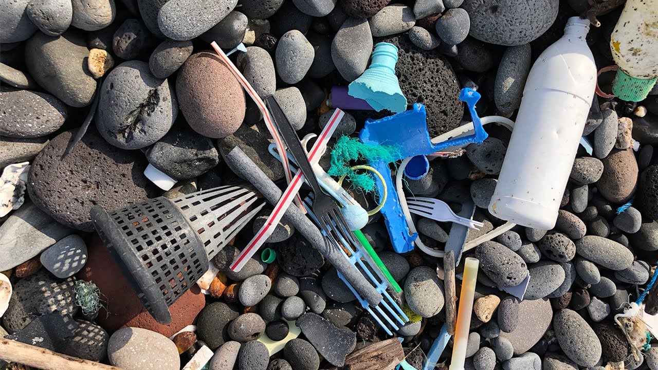 Eat Less Plastic Voyage - YouTube
