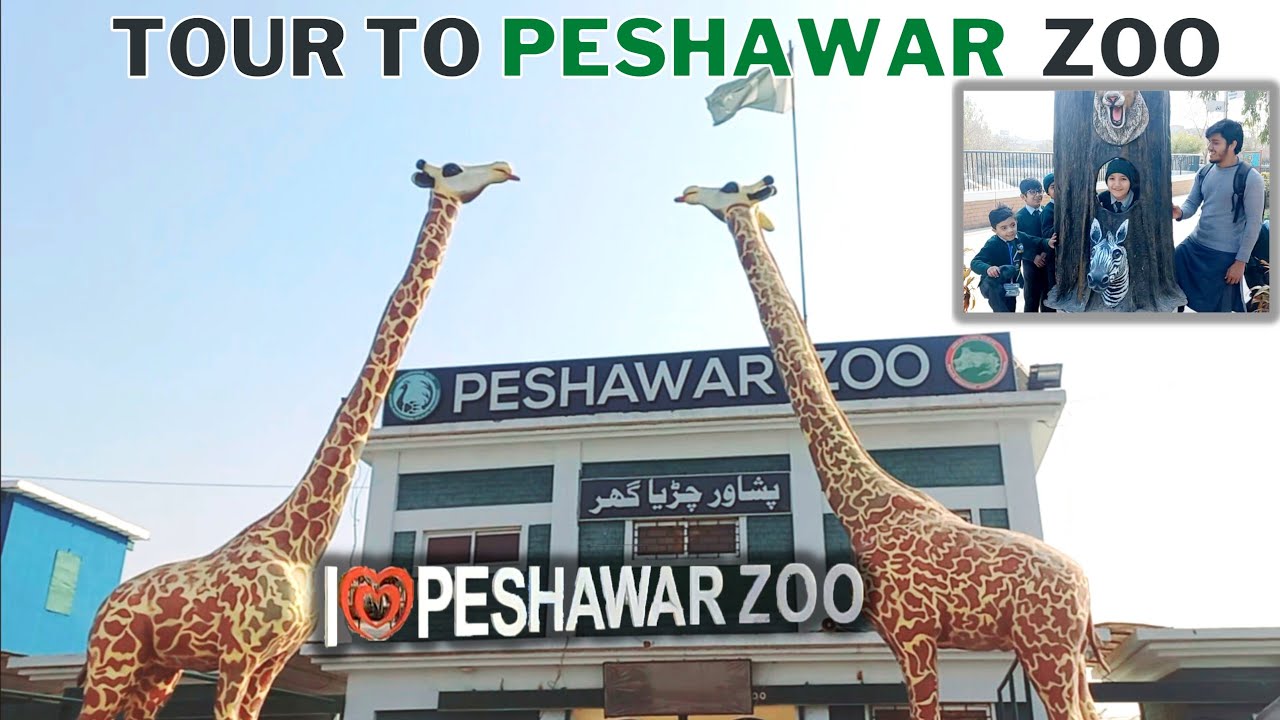 Tour to Peshawar Zoo🦧😊 - YouTube