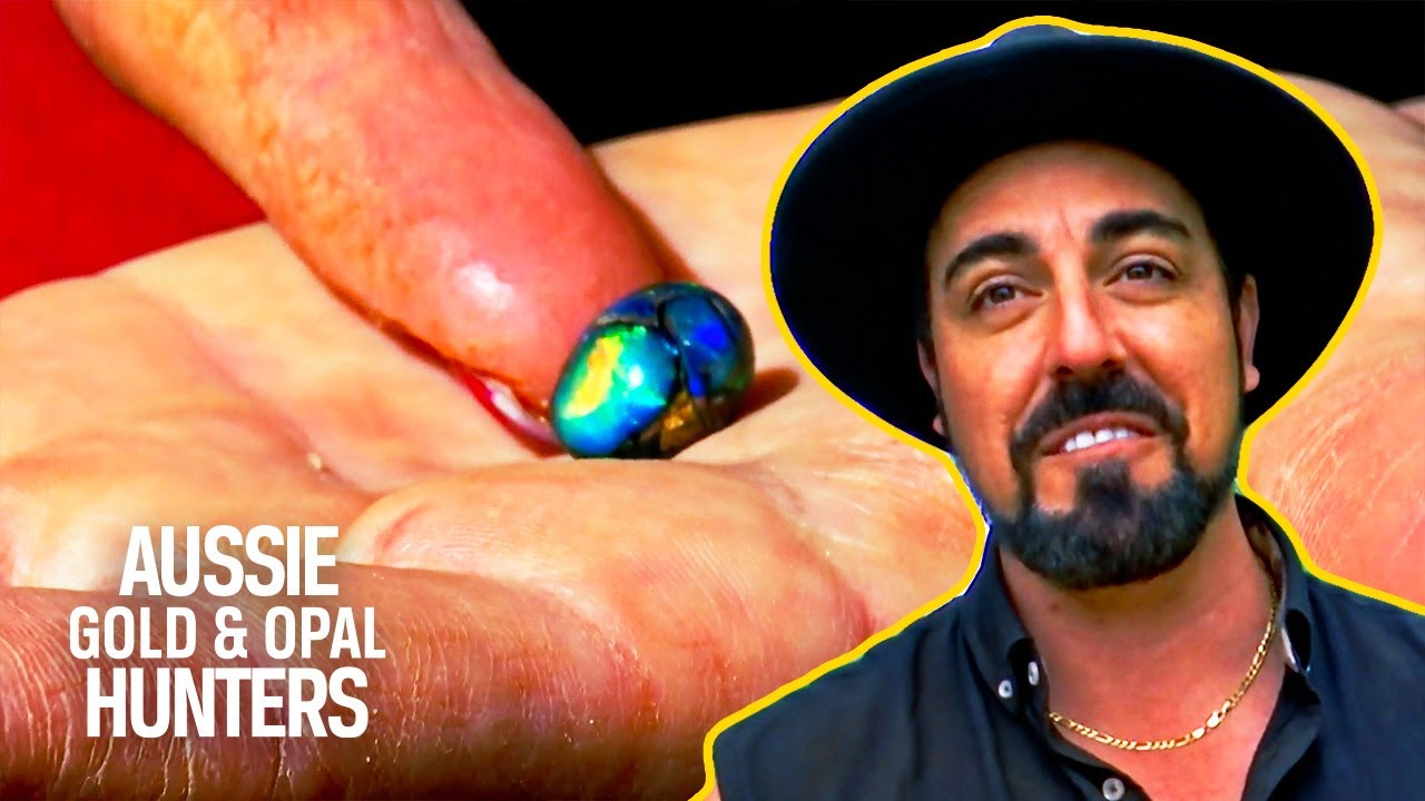 Opal Whisperers Sell A Rare Yowah Nut Kernel Opal For $15,000 | Outback ...