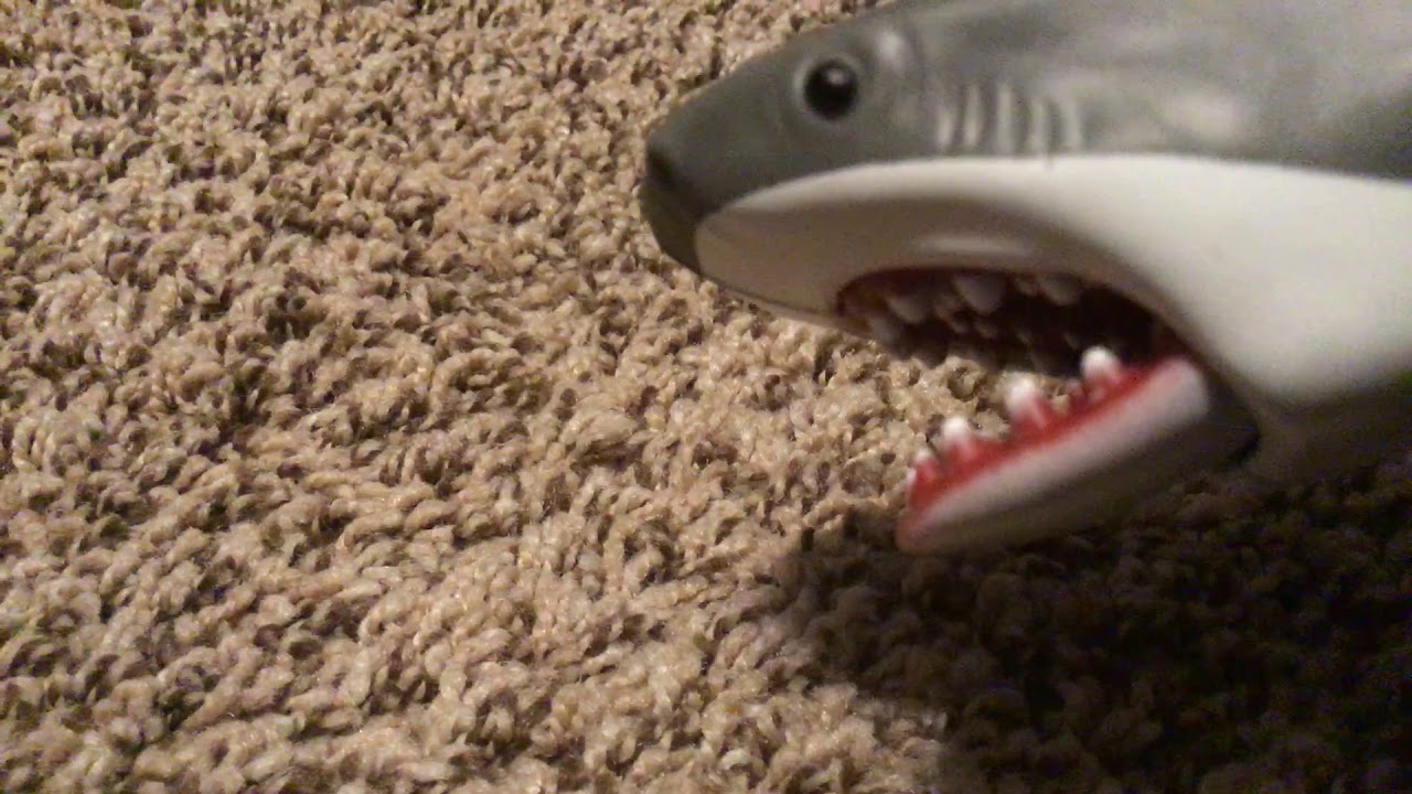 Stupid shark 45,0000000000000000000000000000000 - YouTube