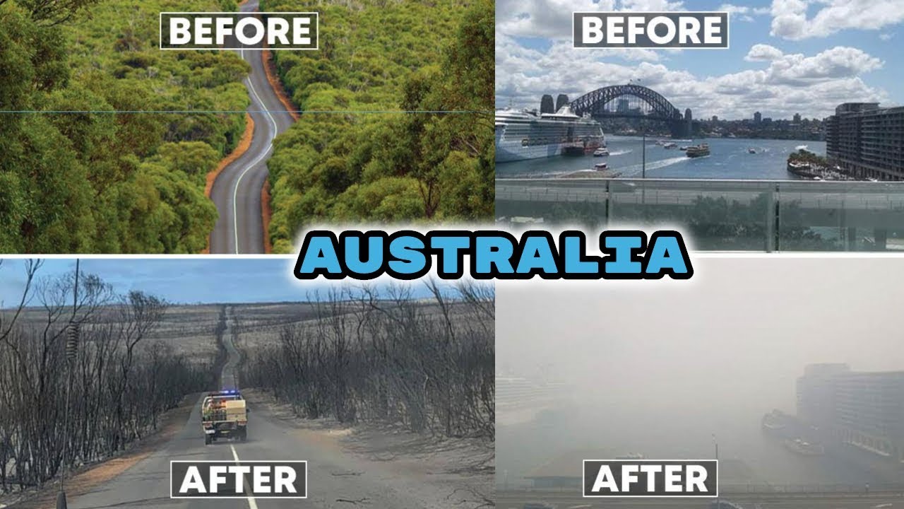 AUSTRALIA BEFORE AND AFTER (BUSHFIRE) | vhal winter - YouTube