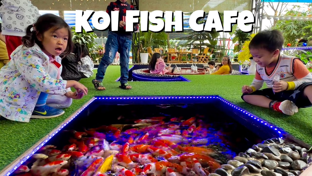 Travel Vietnam – Anh Long Koi Fish Cafe in Buon Ma Thuot City. MUST SEE ...