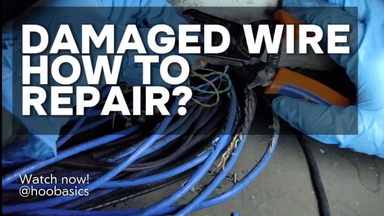How to repair Damaged network Cables #hoobasics #damagednetworkcable ...