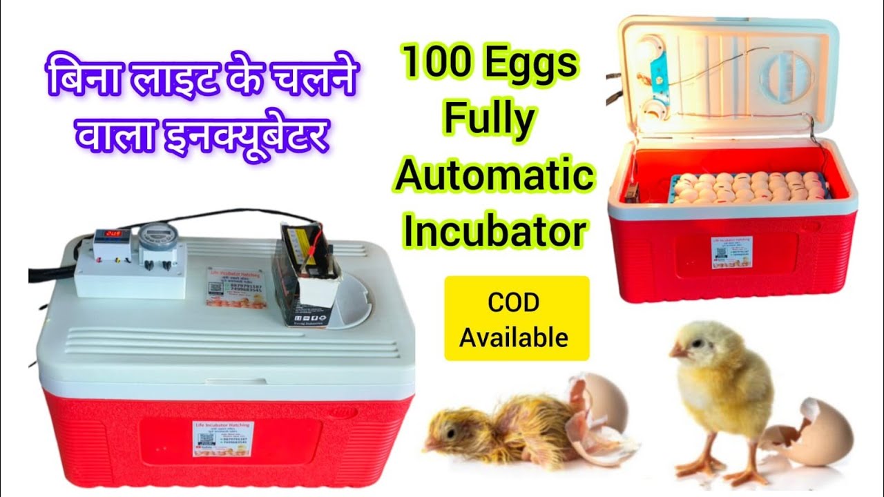 100 EGGS FULLY AUTOMATIC INCUBATOR AC/ DC BATTERY PER CHALNE WALA ...