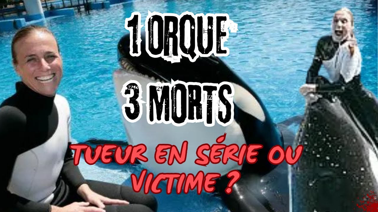 SCALPÉE, BRAS ARRACHÉ, NOYÉE PAR L'ORQUE TUEUR D'HOMME - TILIKUM - YouTube