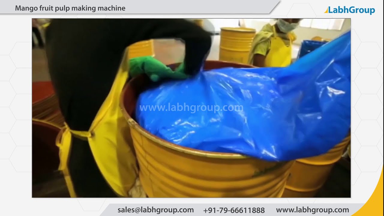 Mango fruit pulp making machine | Labh Group - YouTube