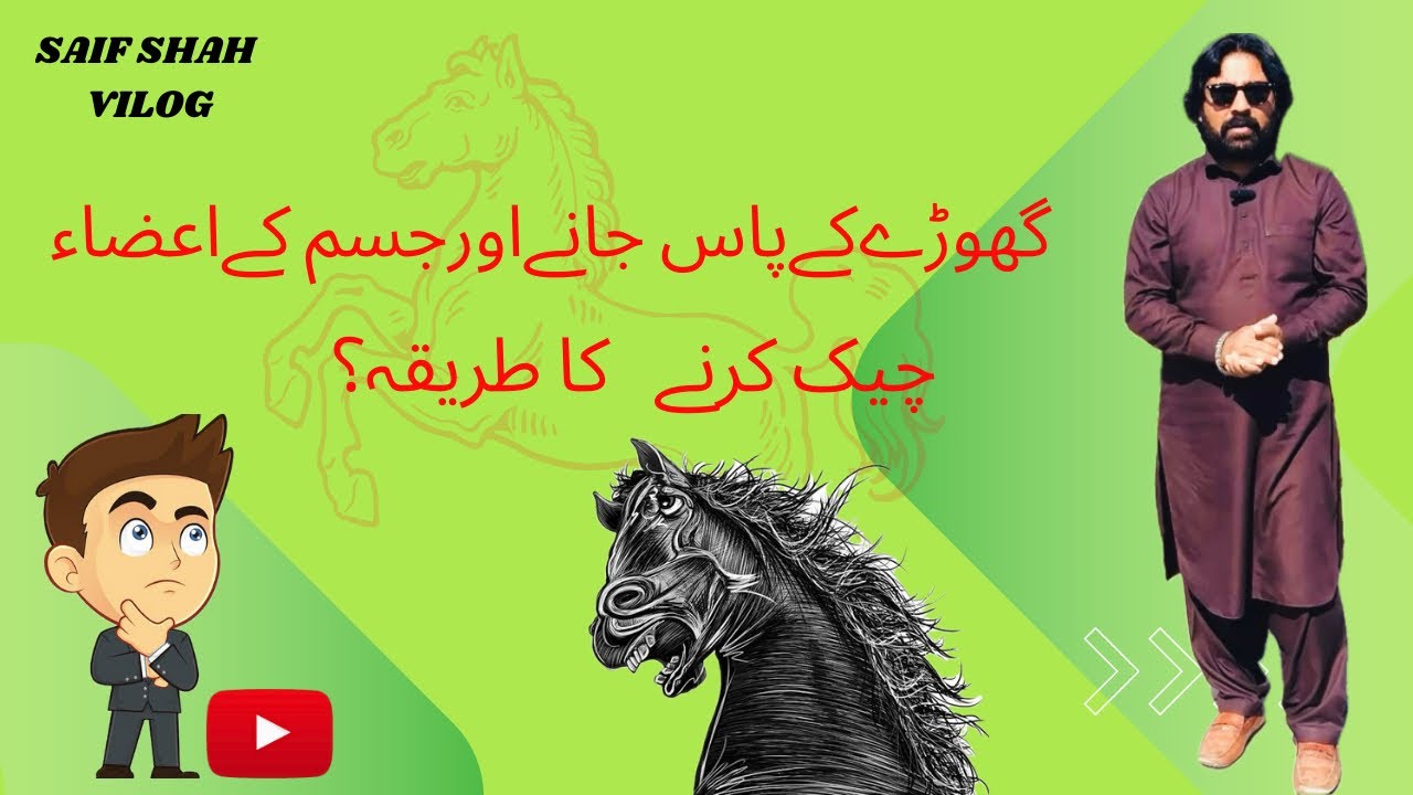 ghora,ghora dance,ghora 2@shonkisardar - YouTube