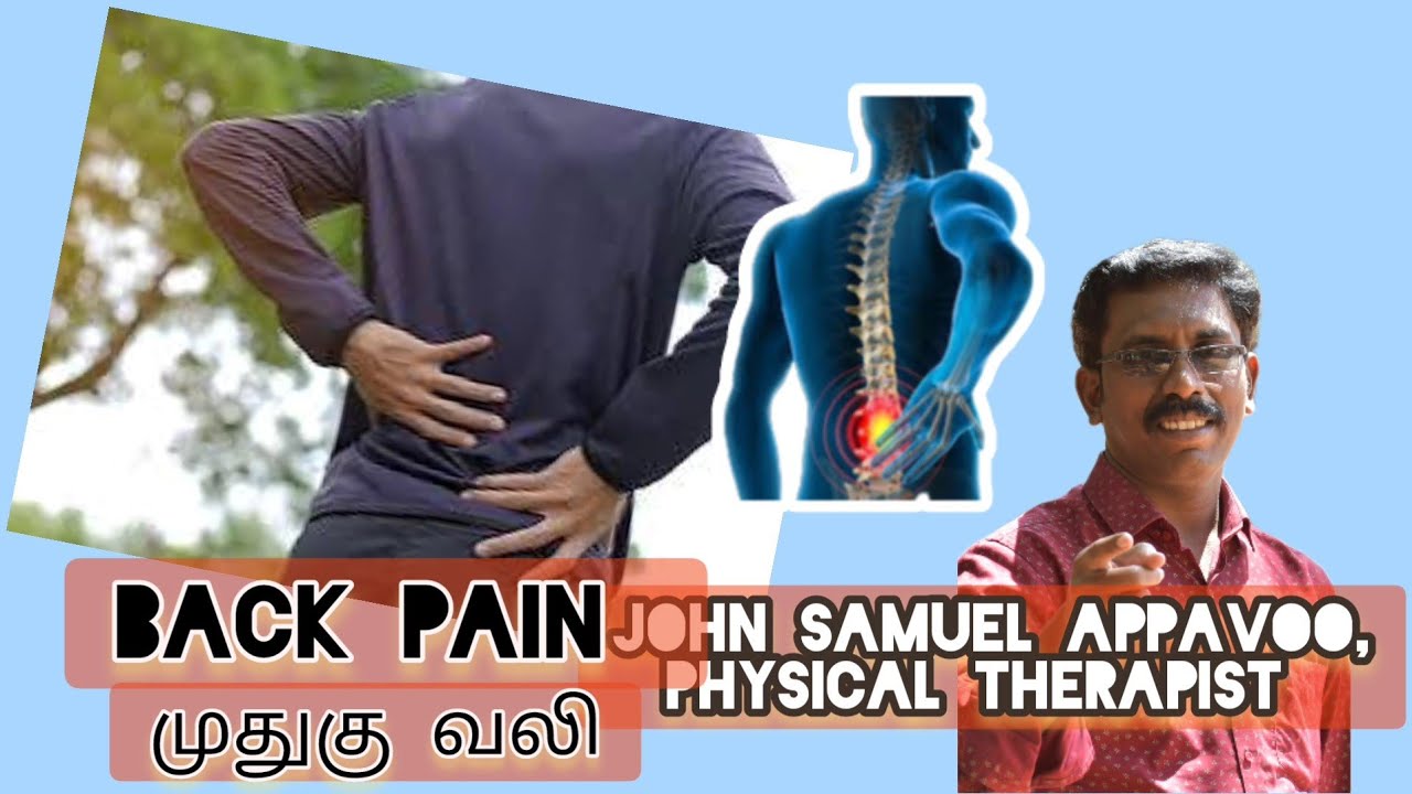 Back Pain - Part 1 / in Tamil/Dr John Samuel Appavoo/Physical Therapist ...