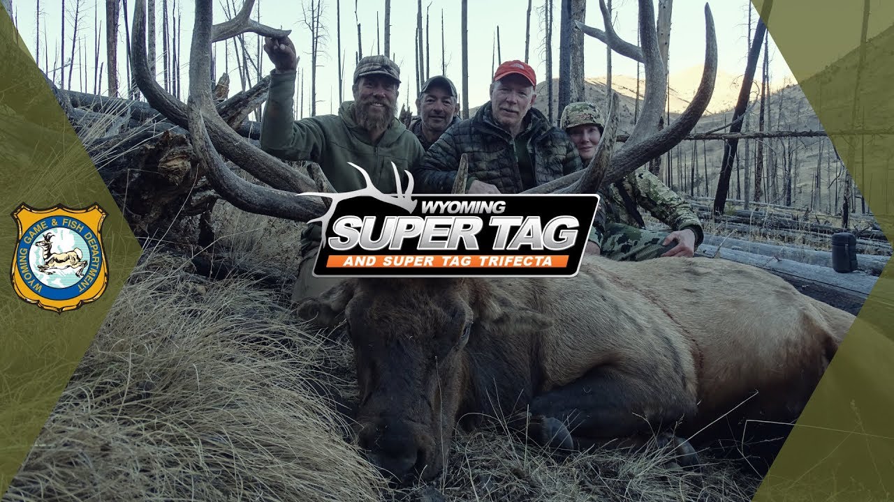 2020 Super Tag Hunting License Raffle - YouTube