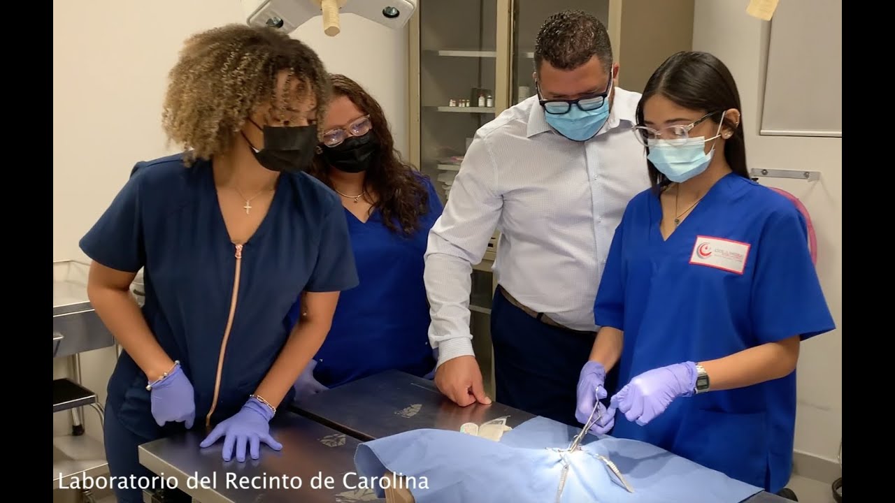 Asistente de Veterinario - YouTube
