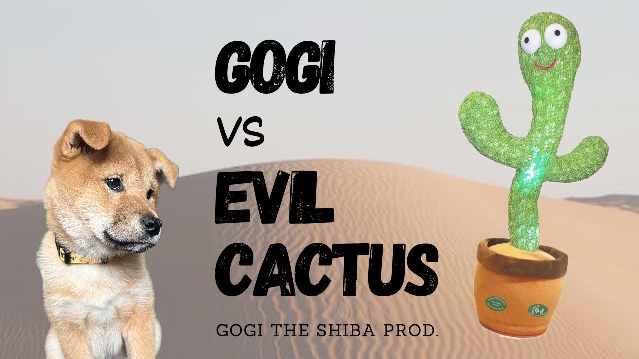 Puppy VS EVIL CACTUS (Shiba inu) - YouTube