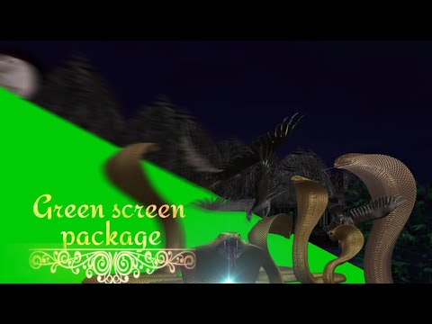 golden snake fight with eagle animation on green screen