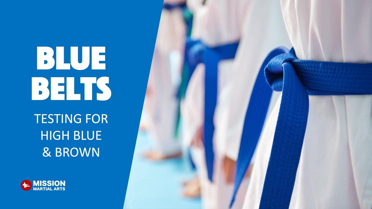 Rank Test - BLUE BELTS - YouTube