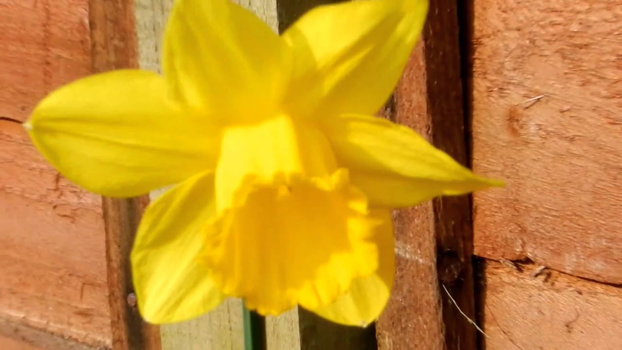 (Direct Upload) Nikon Coolpix P500 1080p Starred Sample Test Footage.MOV