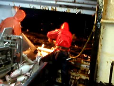 Cod Longlining, Bering Sea - YouTube