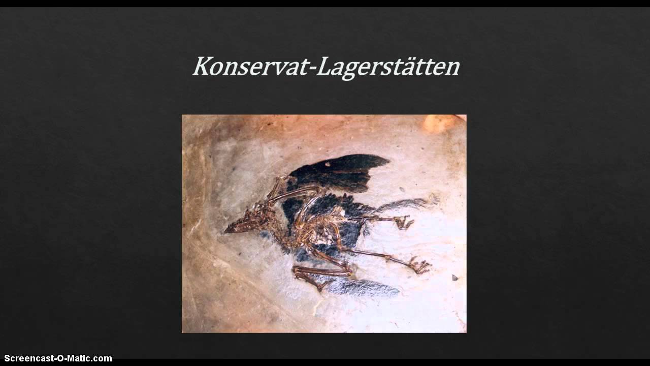 Lagerstätten - YouTube