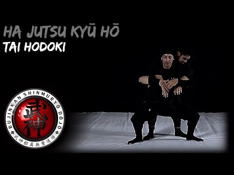 破術九法 Ha Jutsu Kyū Hō - 体解 Tai Hodoki | 伝承シリーズ Denshō Series | 忍術 Ninjutsu