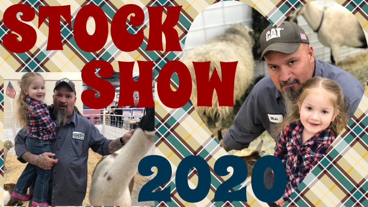 🐄STOCK SHOW 2020🐑 - YouTube