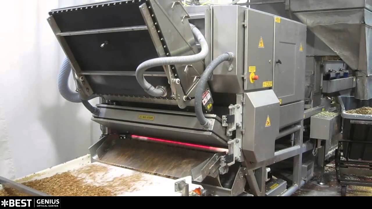 Rehydrated pinto bean sorting machine Genius - TOMRA Sorting - YouTube