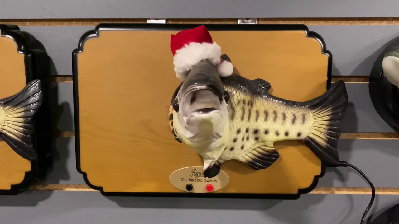 Sammy the singing salmon Christmas edition - YouTube