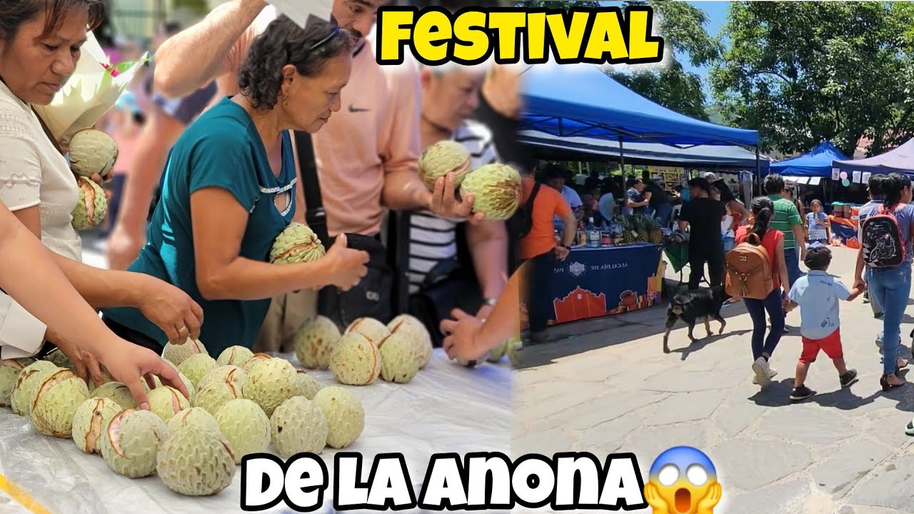 🔴FESTIVAL DE LA ANONA PARQUE DE PANCHIMALCO (isieron la BURUCA con las ...