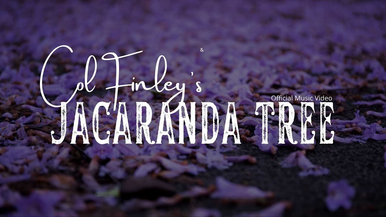 Col Finley's "Jacaranda Tree" (Official Music Video) - YouTube