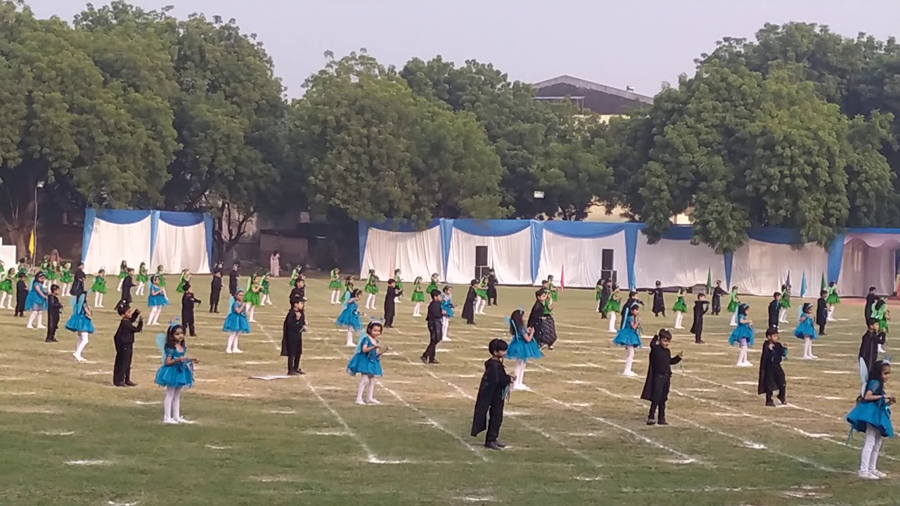 St. Mary's convent Inter college Lucknow PT Display 8 Nov 2019 - YouTube