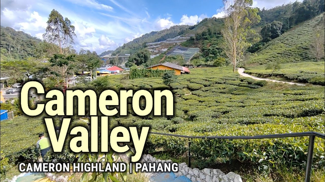 Cameron Valley di Cameron Highland, Pahang - YouTube