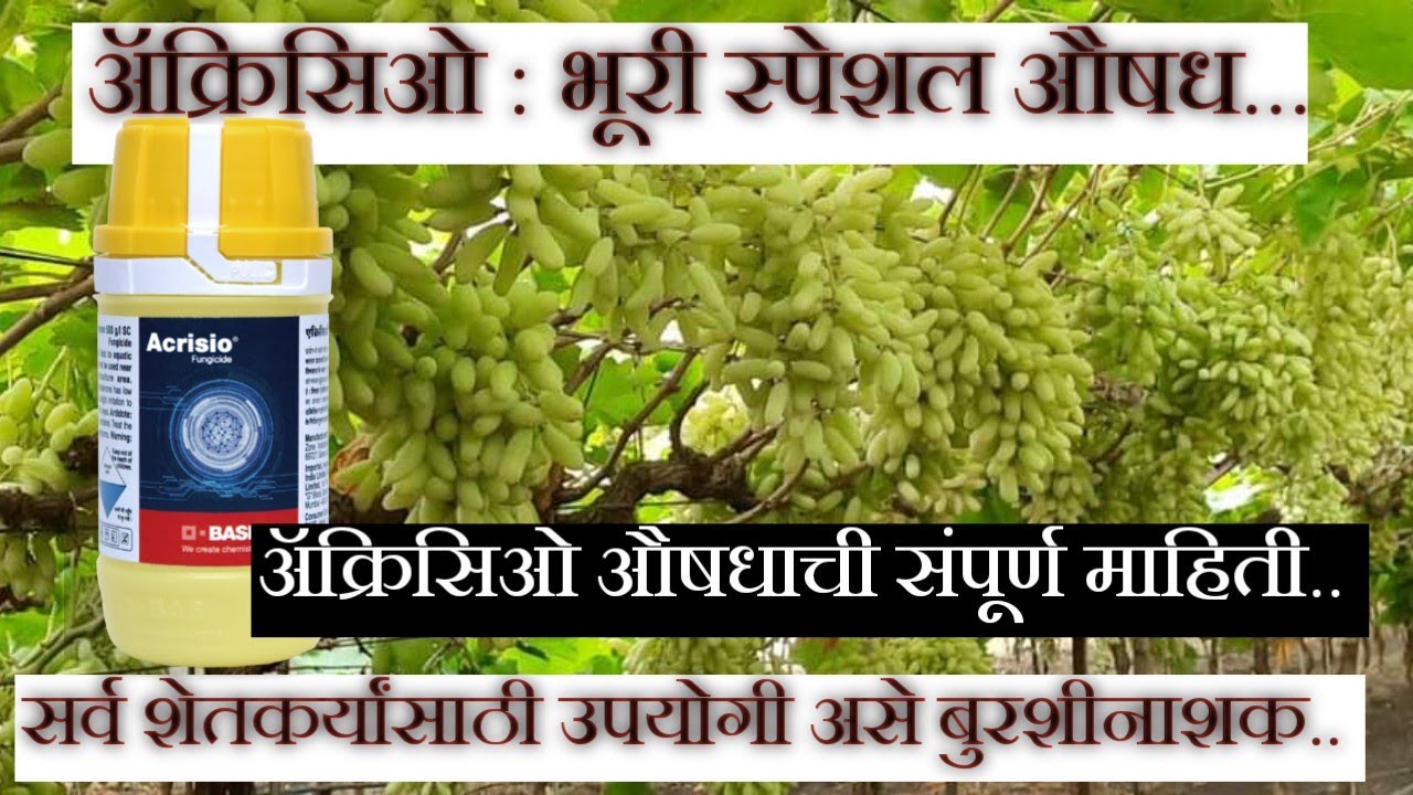 ॲक्रिसिओ फंगिसाईड संपूर्ण माहिती | acrisio fungicide uses in marathi ...