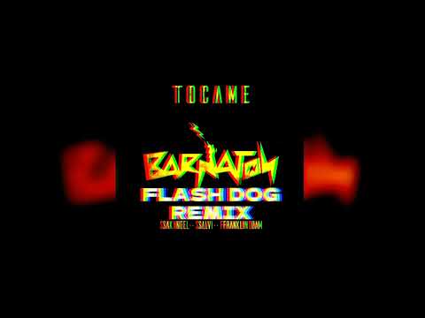 Sak Noel, Salvi & Franklin Dam - Tocame [FLASH DOG REMIX]