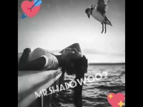 Seni qisqaniram N ❤️ N