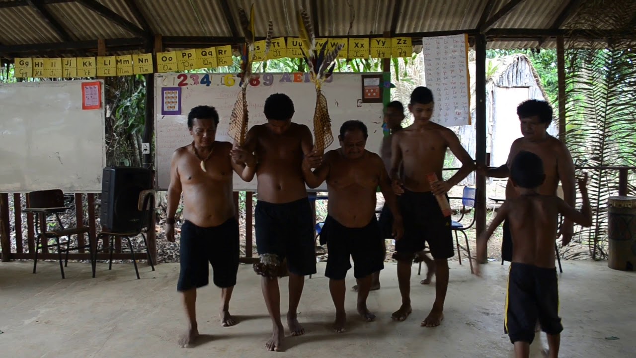 Ritual da Formiga Tucandeira dos Saterê Mawé - YouTube