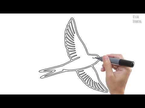 Swift Bird Sketch Drawing Easy, How To Draw Simple Swift Bird Cartoon ...