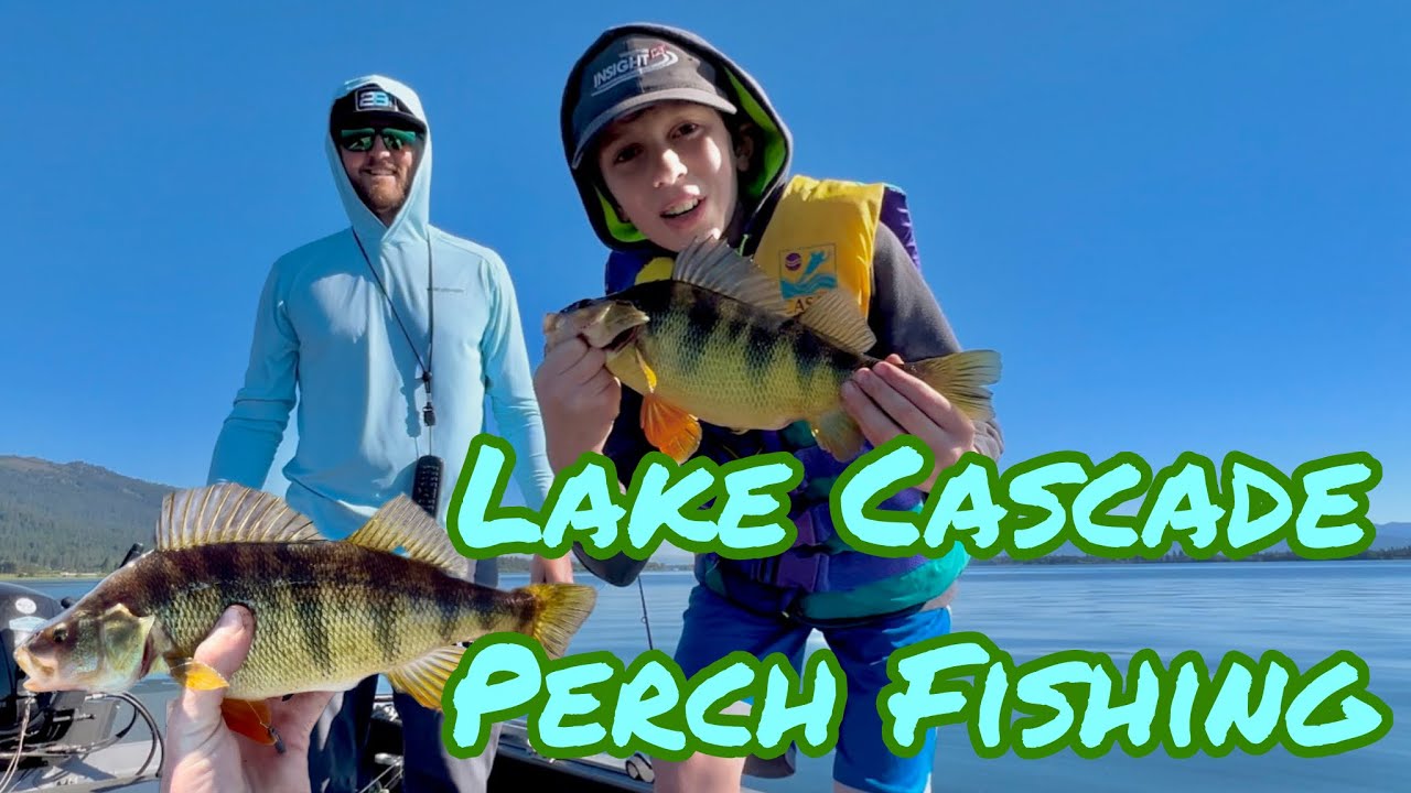 Lake Cascade Summertime Perch Fishing (Guided fishing trip) - YouTube
