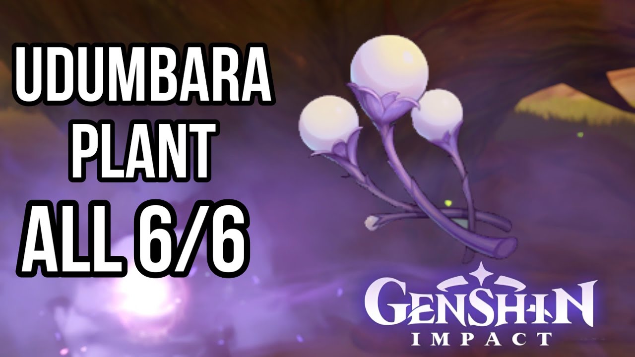 All 6 Udumbara Pistil Locations Genshin Impact Sumeru #genshinimpact ...