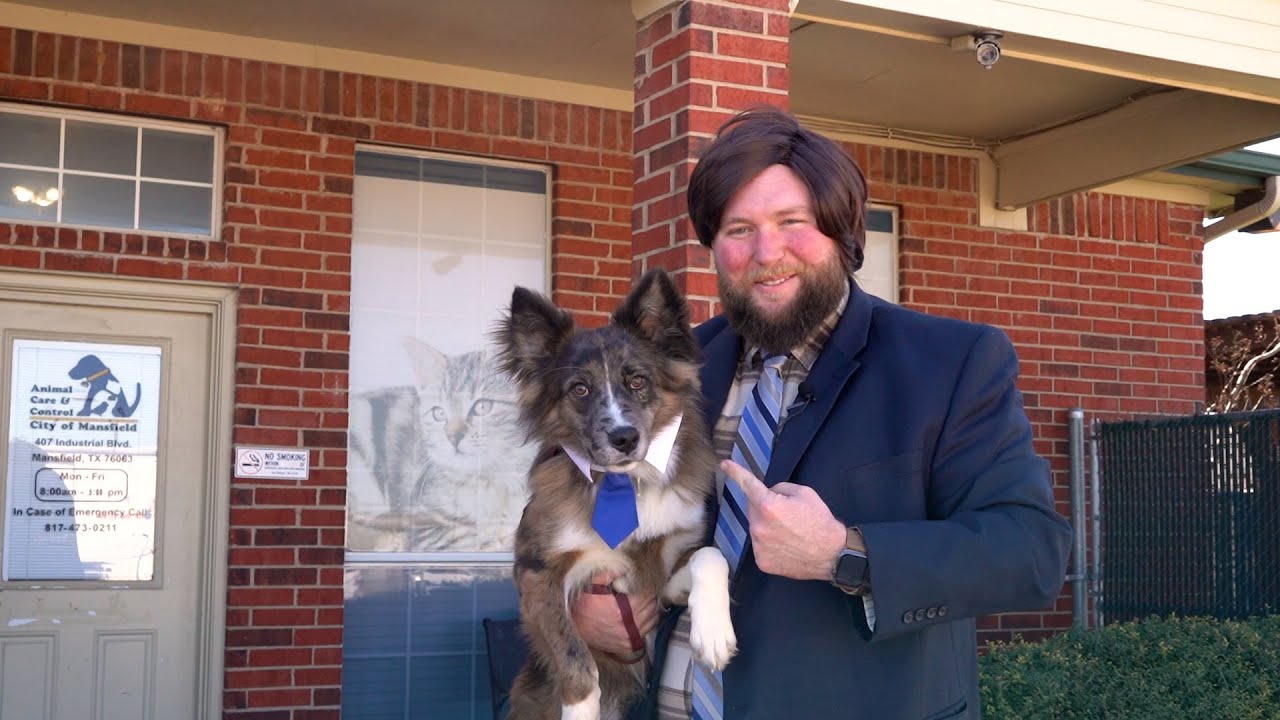 Klay-9 Cooley and the Mansfield Animal Shelter - YouTube