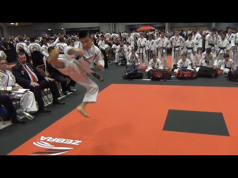 ATA First Degree Form Shim Jun - 2018 World Champion Dylan Woo