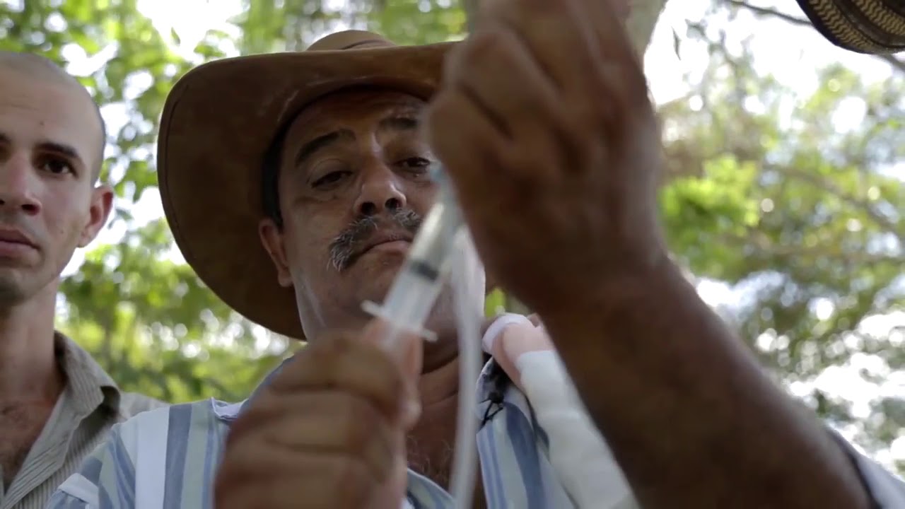 El viaje de un Rrom errante por el Caribe colombiano - YouTube
