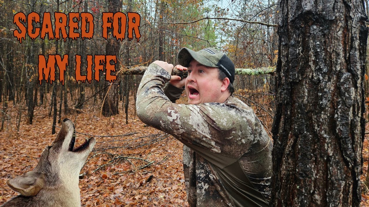 Scary Hunting Encounter Caught On Camera! Multiple Deer Down! - YouTube