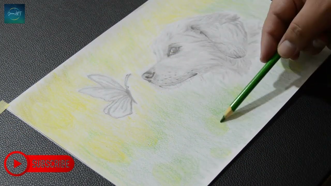 Dog & Butterfly Drawing | Realistic Drawing - YouTube