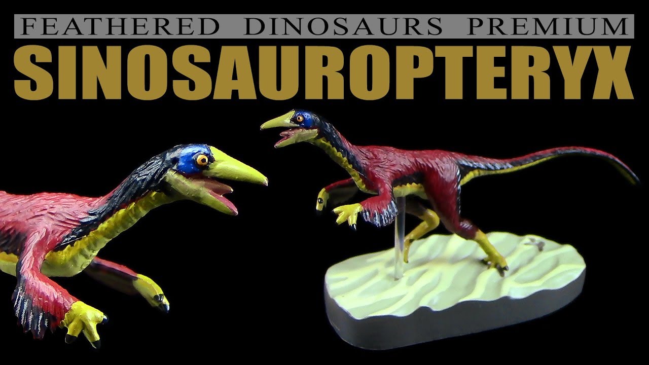 Colorata ® Sinosauropteryx - Feathered Dinosaurs Premium - Unboxing ...