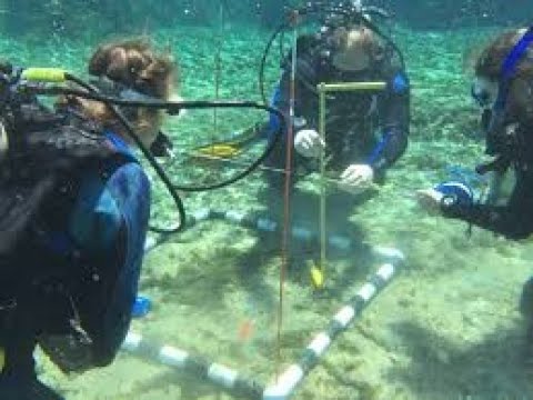 How the Diving Mafia Stole Canada's Maritime Heritage - YouTube
