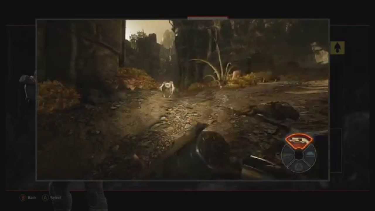 Evolve: Abe Basic and Advanced Tutorials - YouTube