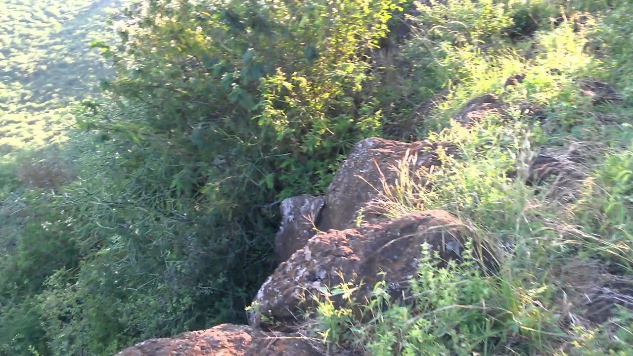 40 Minch , Ethiopia - YouTube