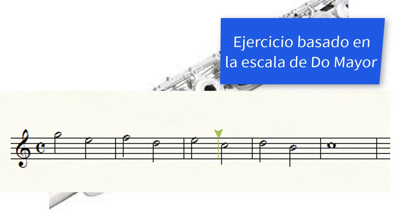 ESTUDIO DE SONIDO EN LA FLAUTA TRAVERSA (notas largas) - YouTube