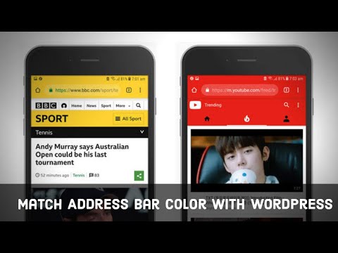 WordPress Website Address Bar Color Kaise Change Kare | How to change ...