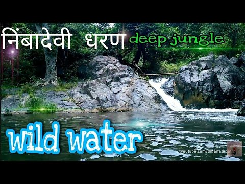 निंबादेवी धरण | Exploring Backwaters of Nimbadevi Dam - YouTube